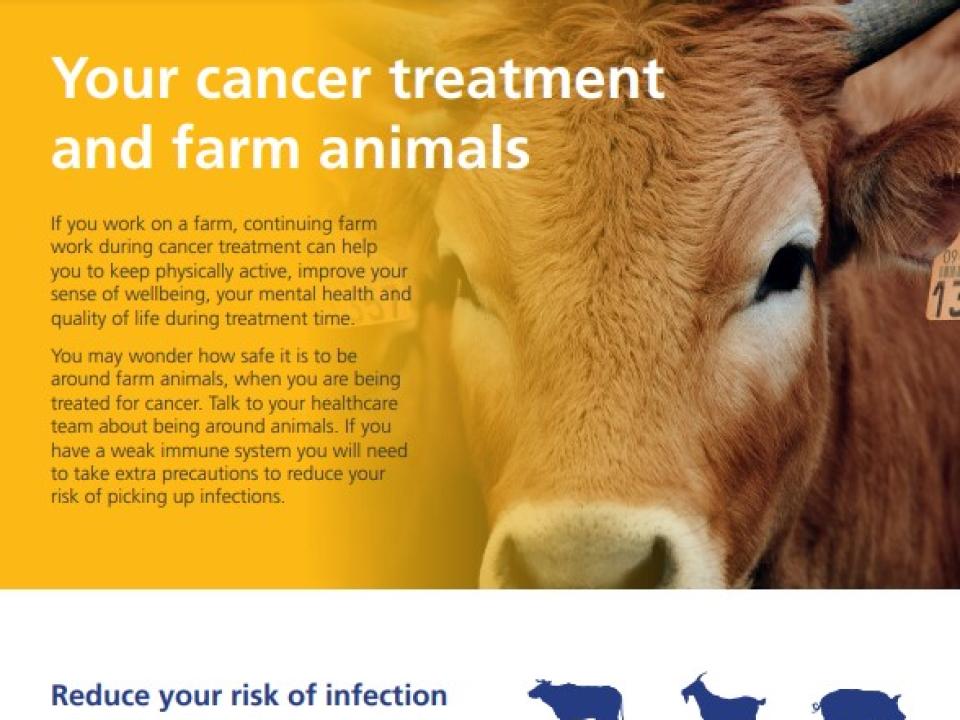 Your cancer treatment and farm animals | Irish Cancer Society